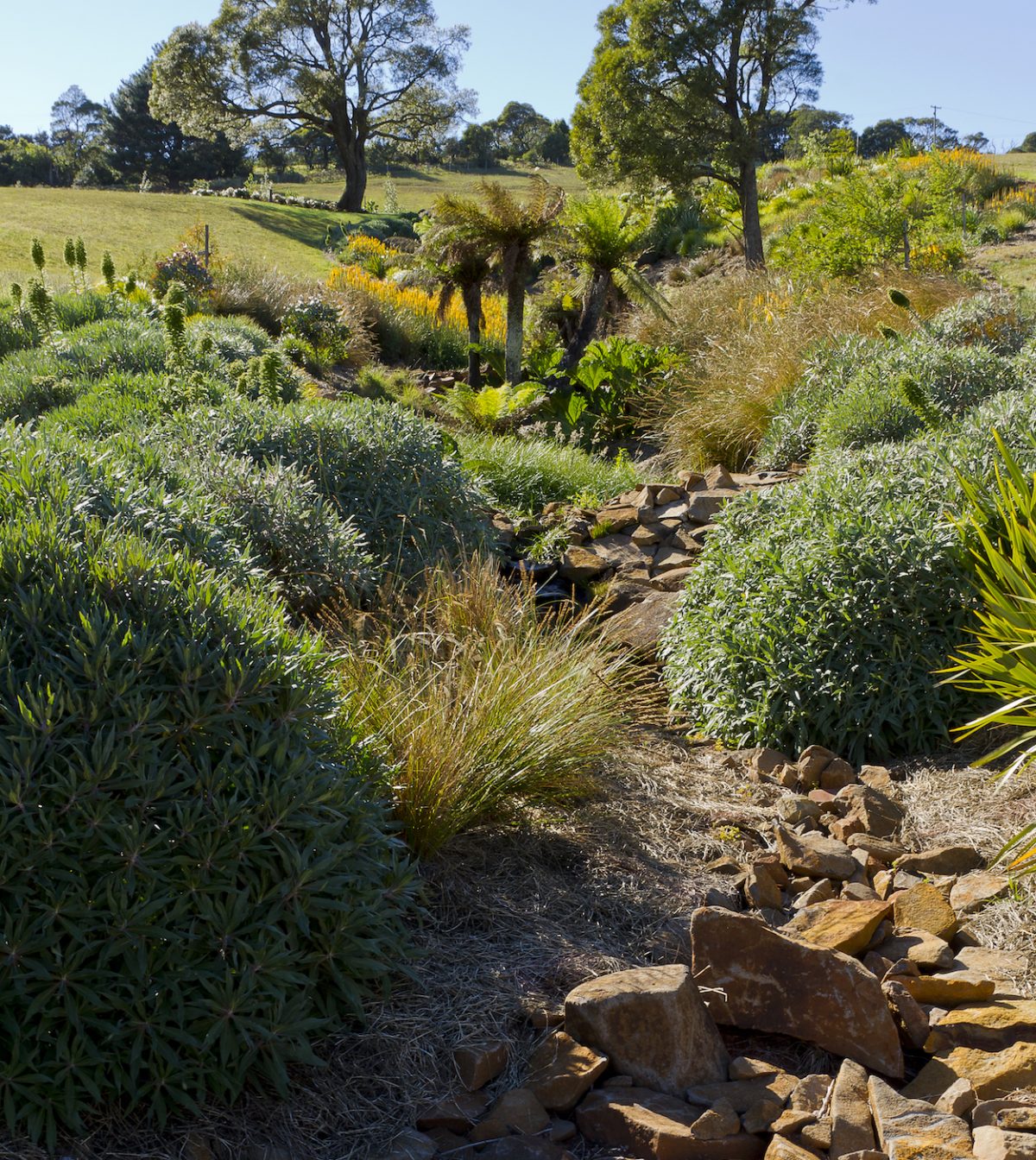 Memorial Garden - Nicholas Bray Landscape Architect